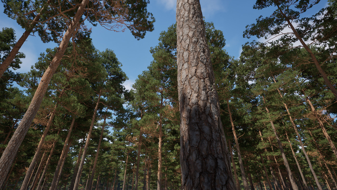 Quixel on Fab: New Megascans and Megaplants - Quixel