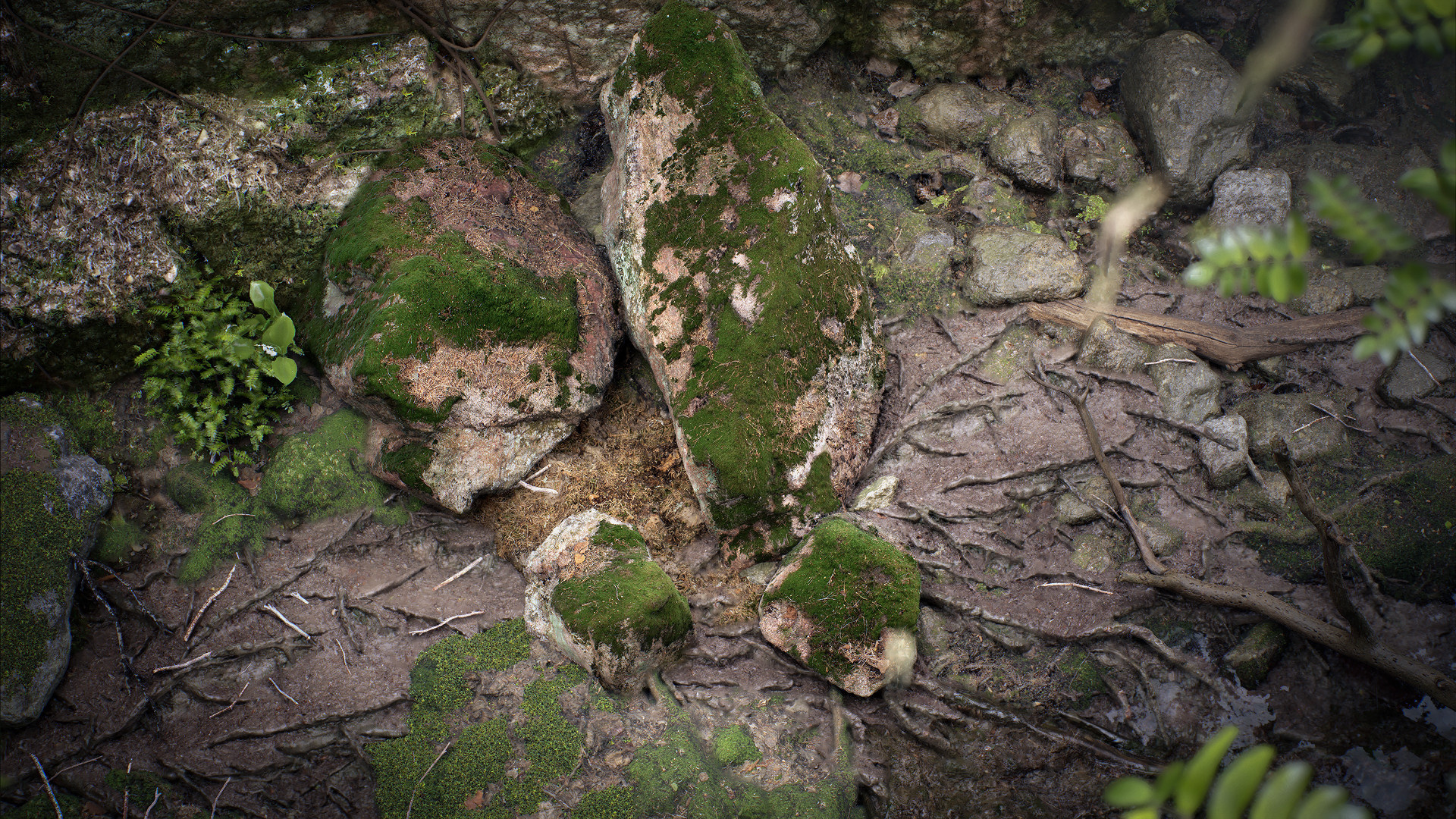Quixel on Fab: New Megascans and Megaplants - Quixel